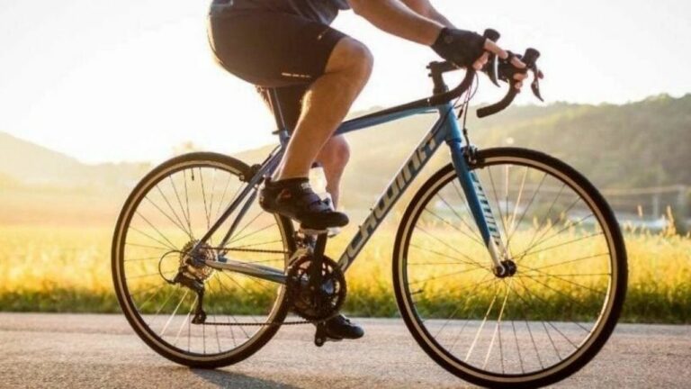 7 Best Cheap Road Bikes Under $300 in [current_year] (Review)
